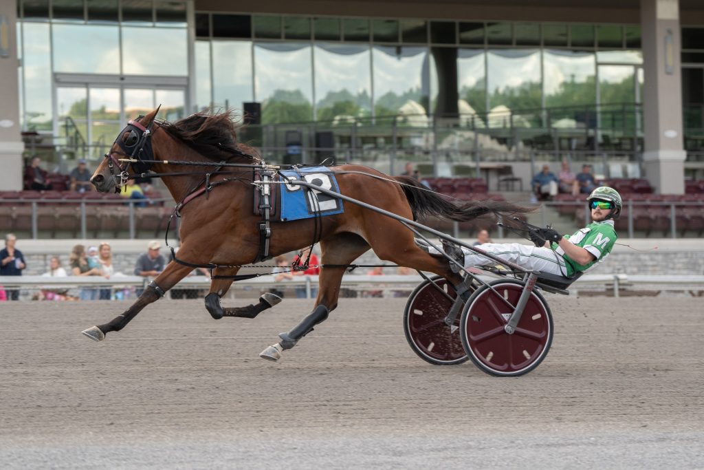Meadows harness-racing community mourns loss of young driver - Herald ...
